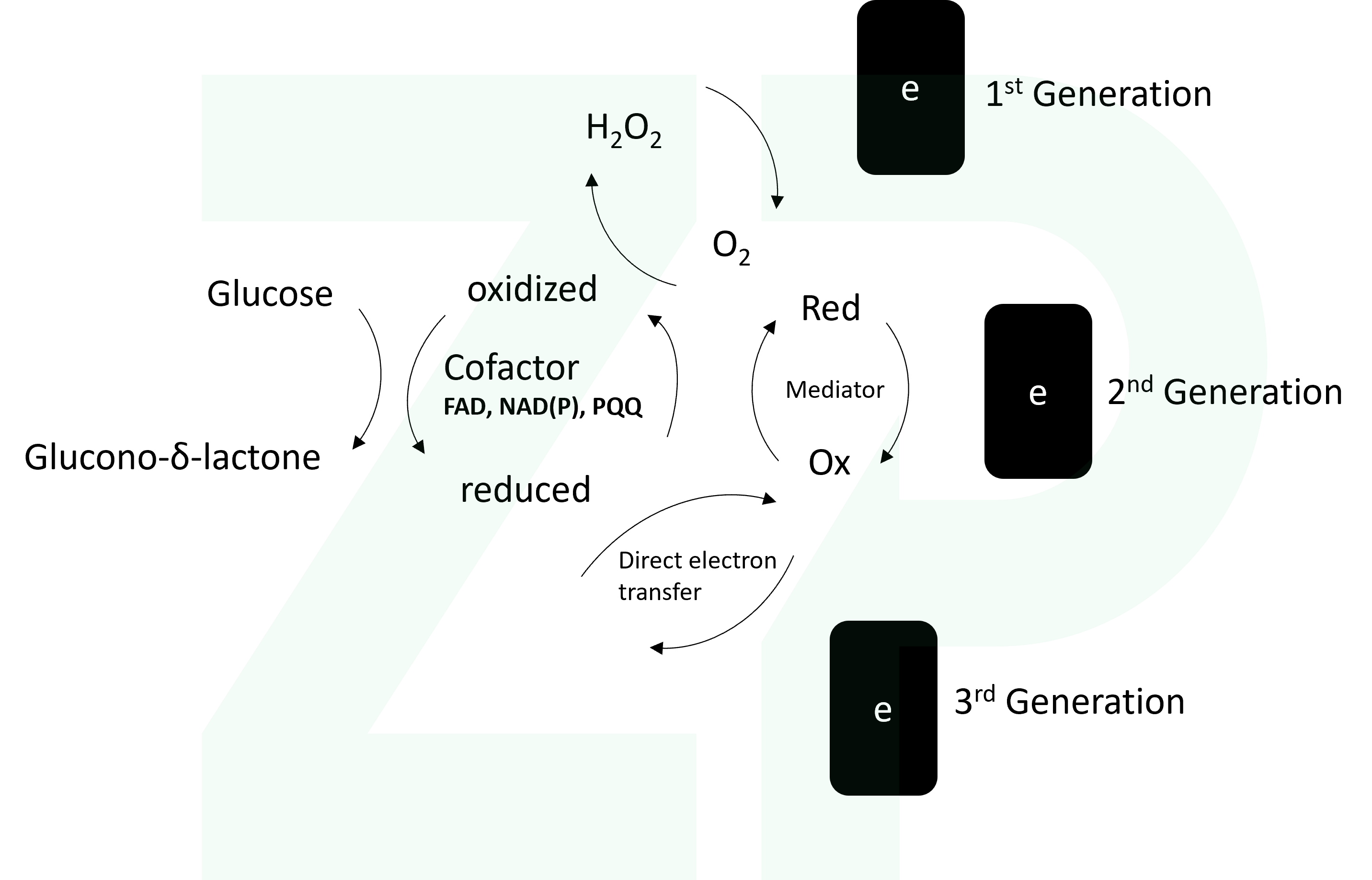 Generation One Two And Three Glucose Sensors Zimmerandpeacock