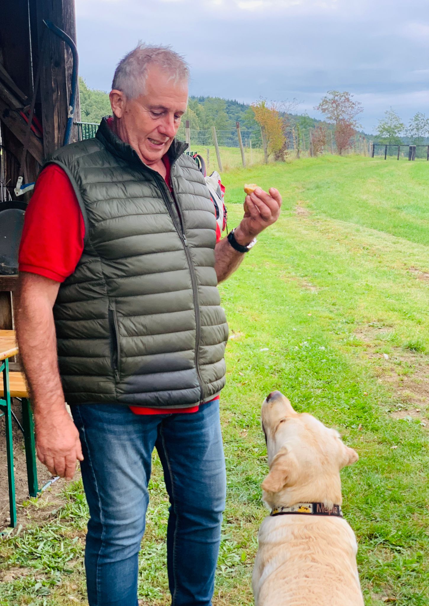 Labrador Farmers Best Friend Labradorfarmersbestfriends Jimdo Page