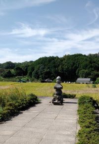アネモネ明日香吟行 俳句河内野