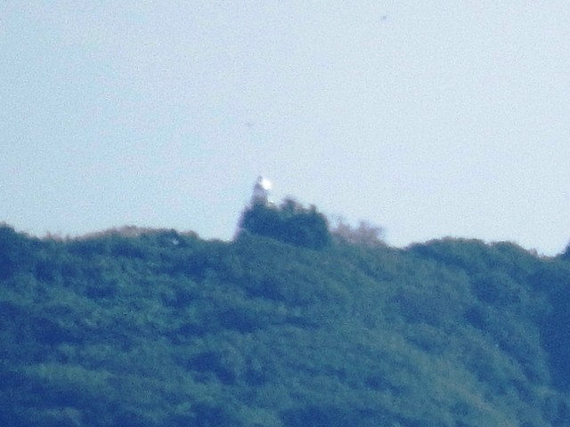 上島 Kamishima 兵庫県 小さい灯り