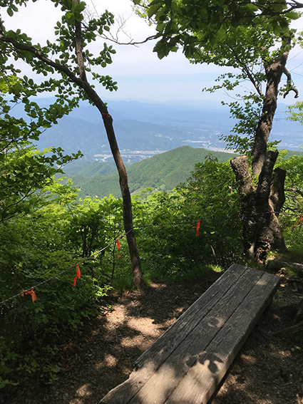 西上州稲含山いなふくみやまに登る 絵と山と楽しみ