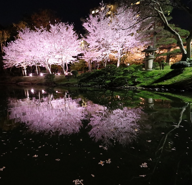 1日縮景園ライトアップ korotyan105 ページ
