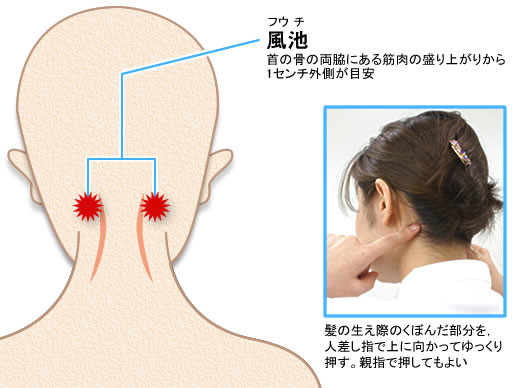 頭痛のツボ風池を押してみよう日だまり整体院