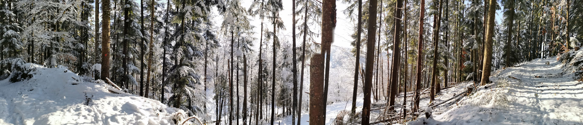 Accueil - Saint-Quirin, site officiel de la commune