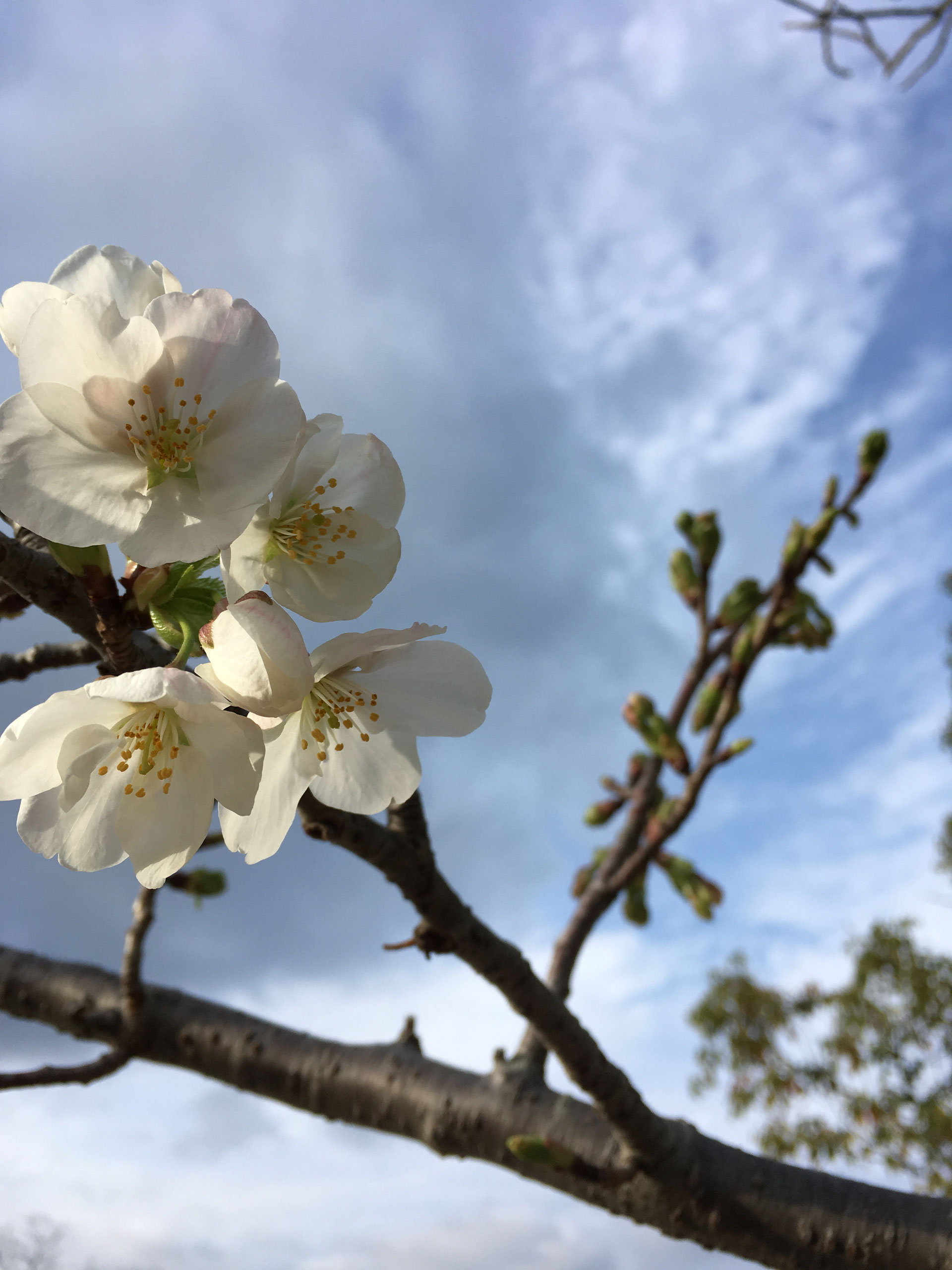 教室について - 東長崎cocoiroリトミック・ピアノ教室