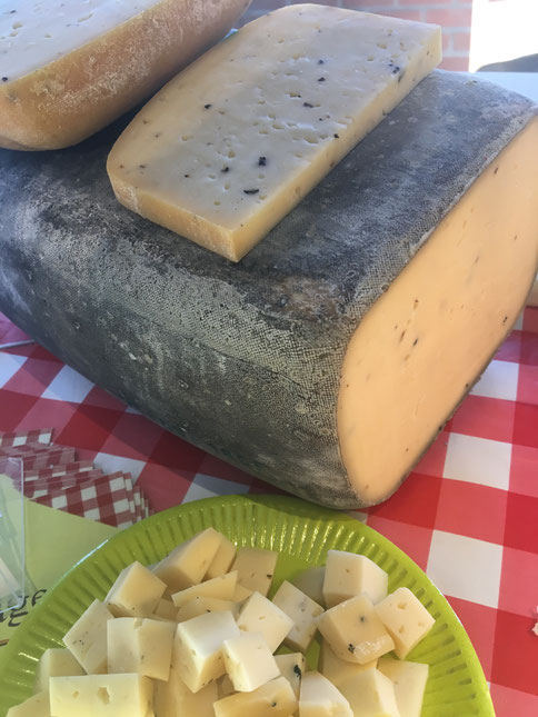 Un fromage jeune, tendre et moelleux à pâte pressée non cuite ...