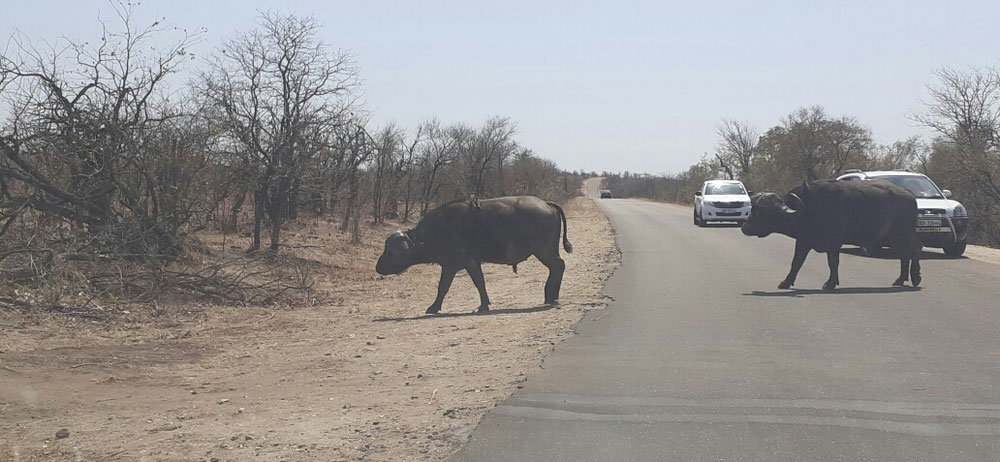 Herbstferien - madietane