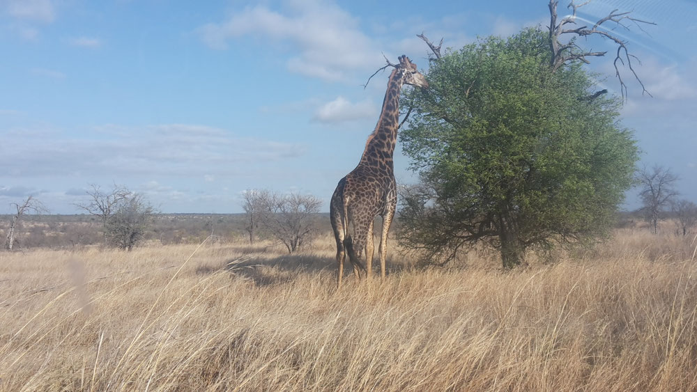 Herbstferien - madietane