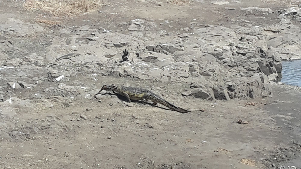 Herbstferien - madietane