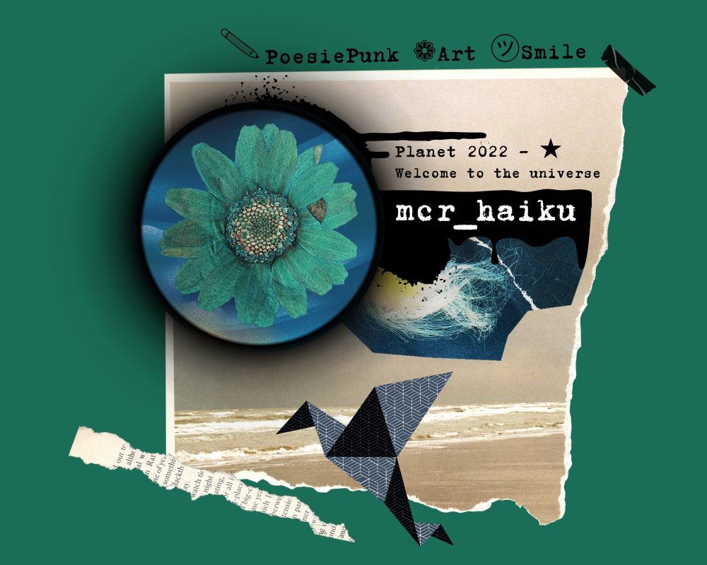 Home - mcr-bookss Webseite!