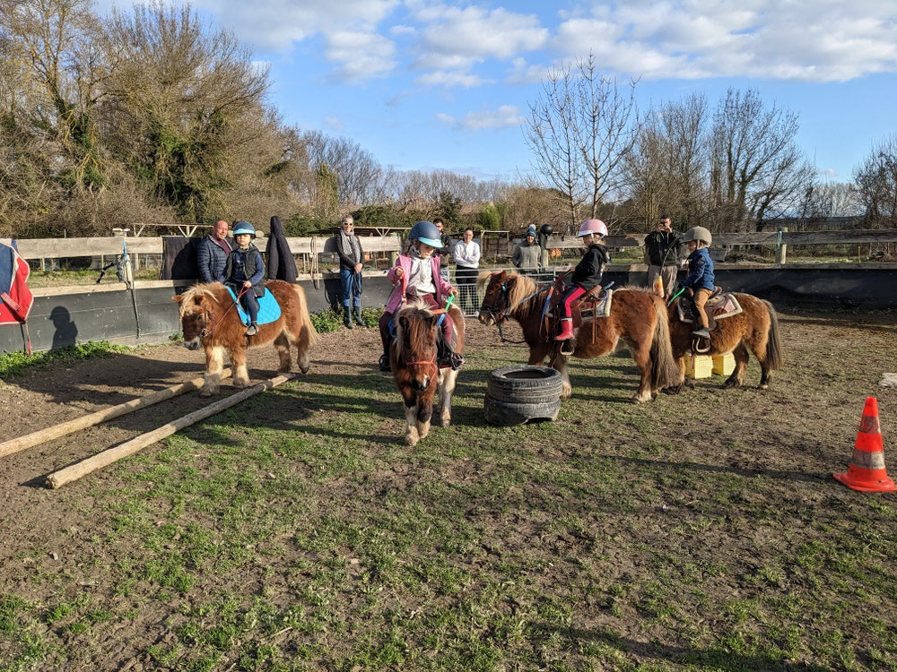 Cours - SUNNY RANCH, l'équitation au naturel
