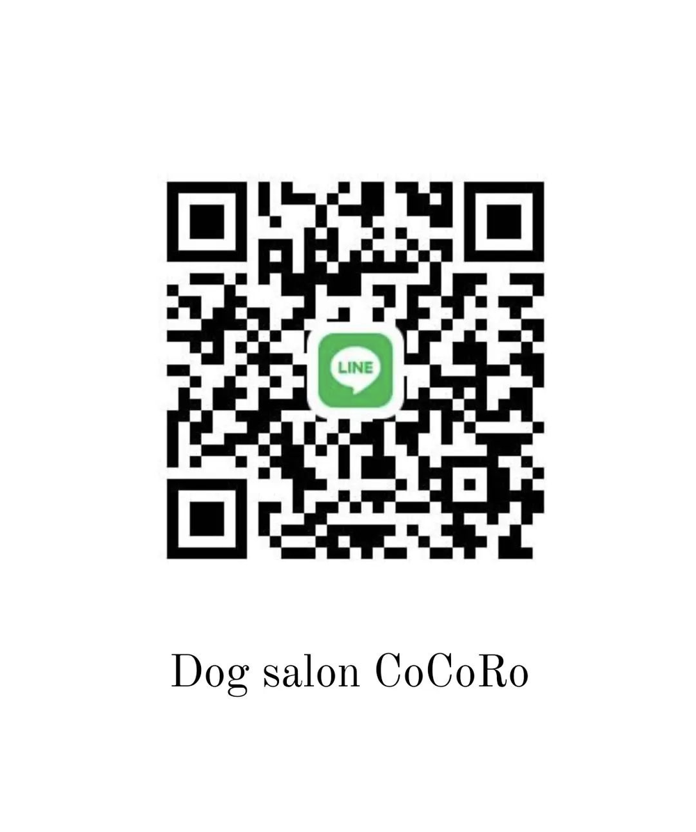LINE ＆ Instagram - dog-salon-cocoro茅ヶ崎