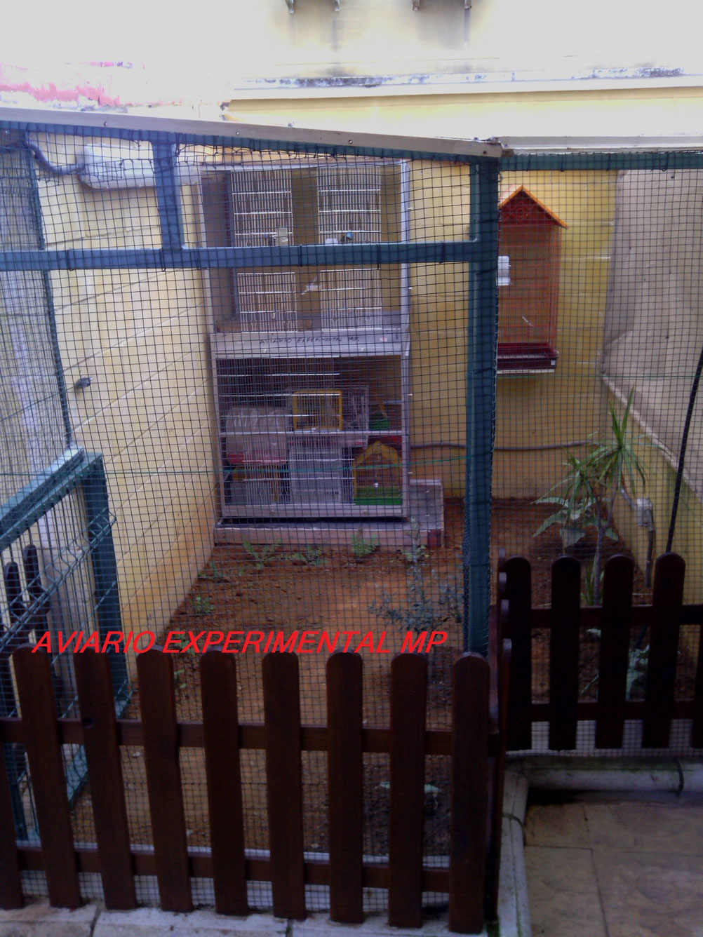 AVIARIO EN EXTERIOR - Página web de aviarioexperimentalmp