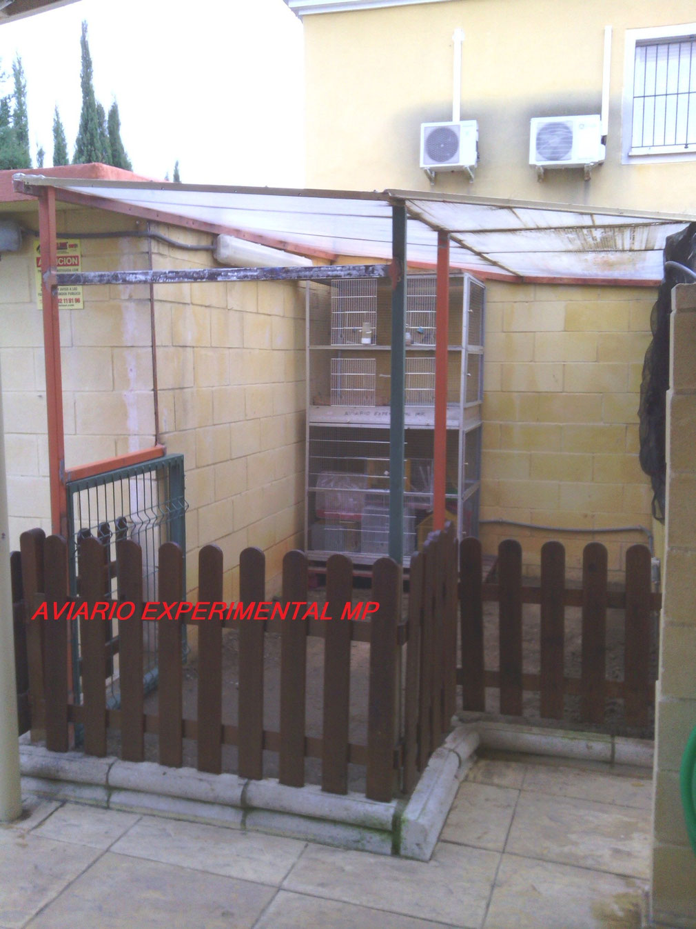 AVIARIO EN EXTERIOR - Página web de aviarioexperimentalmp