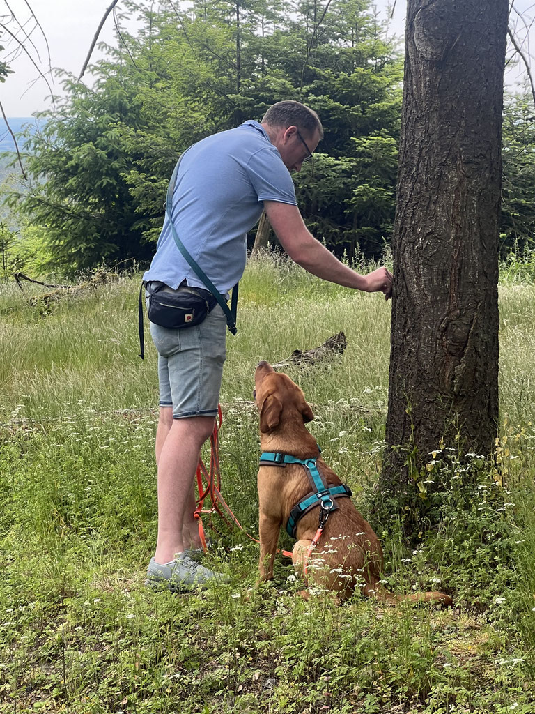 «Knigge-Dog» / Benimm Dich - World of Dogs - by Katha Klös