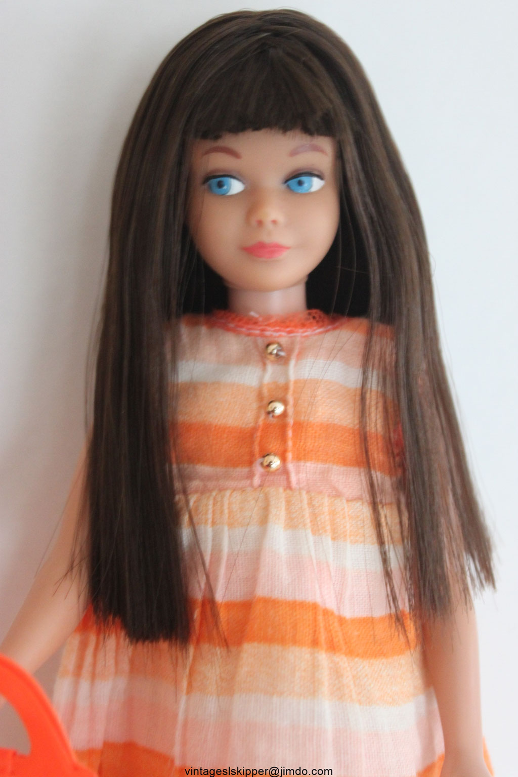 Raven Skipper - Vintage Skipper - Barbie's Little Sister