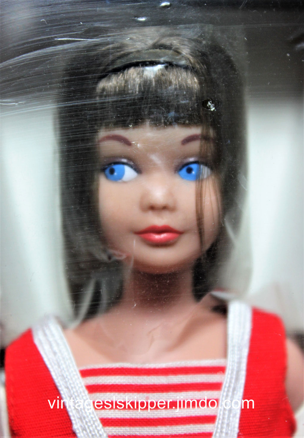 SL Skipper Gift Sets - Skipper Doll Website - Barbie's Little Sister