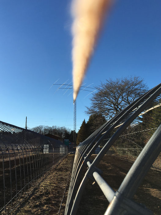 3.5MHzのアンテナ - JP1DJV's Diary // Extreme DXing episodeII