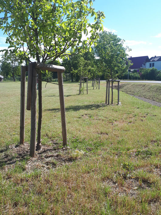 Gute Oppositionsarbeit trägt Früchte: Nach massivem Druck der CDU ...