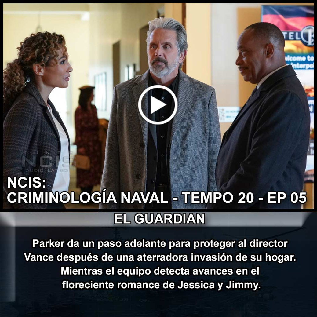 NCIS: Criminologia Naval - Temporada 20 - Mundo NCIS (Audio Latino)