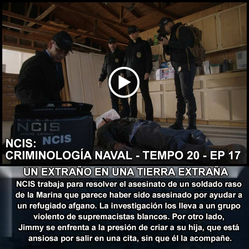NCIS: Criminologia Naval - Temporada 20 - Mundo NCIS (Audio Latino)