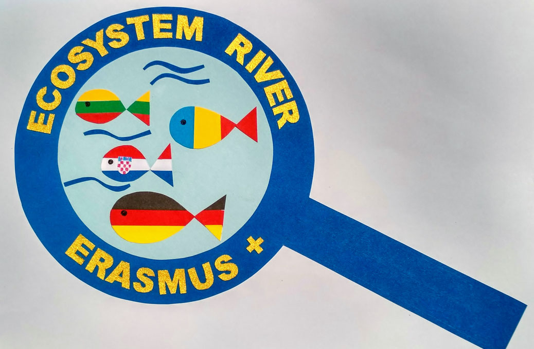 Ecosystem river - approached by Observation and experience - ecosystem ...