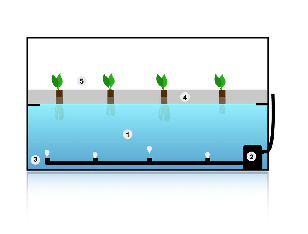 Hydroponic Systems - hydroponic-guides Webseite!