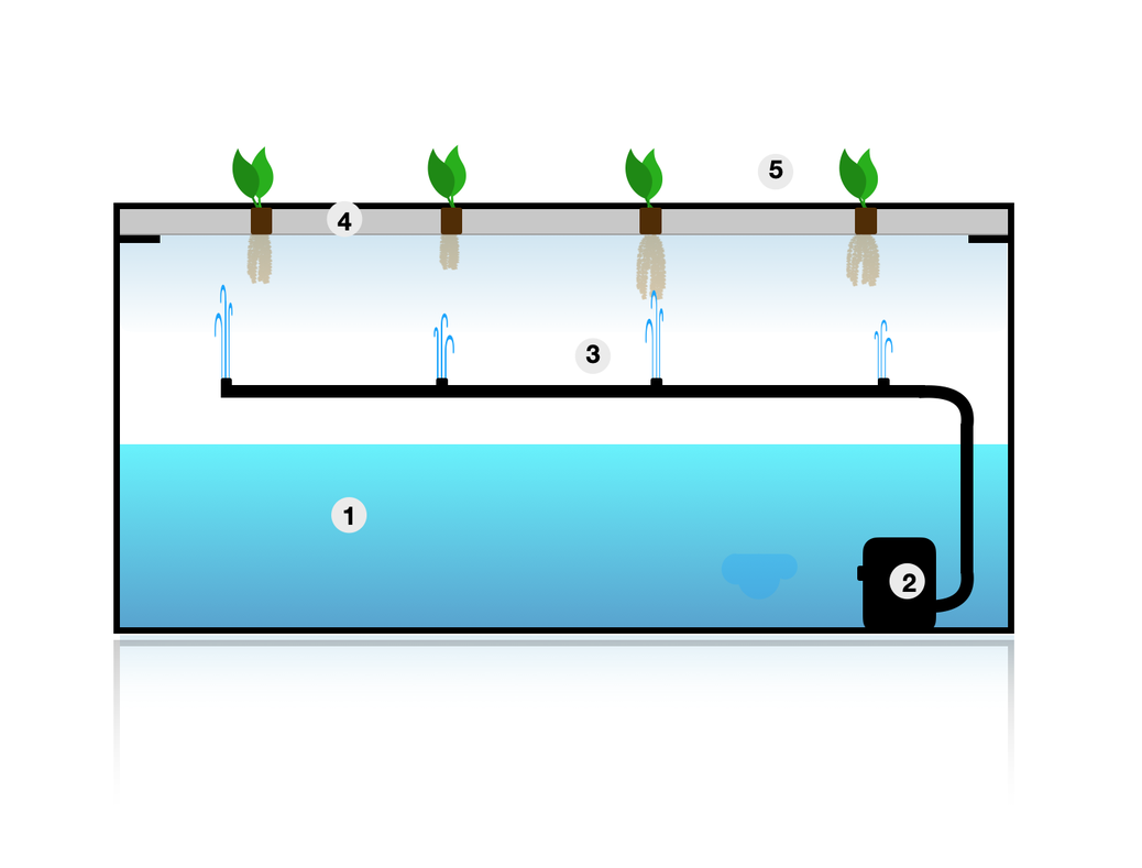 Hydroponic Systems - hydroponic-guides Webseite!