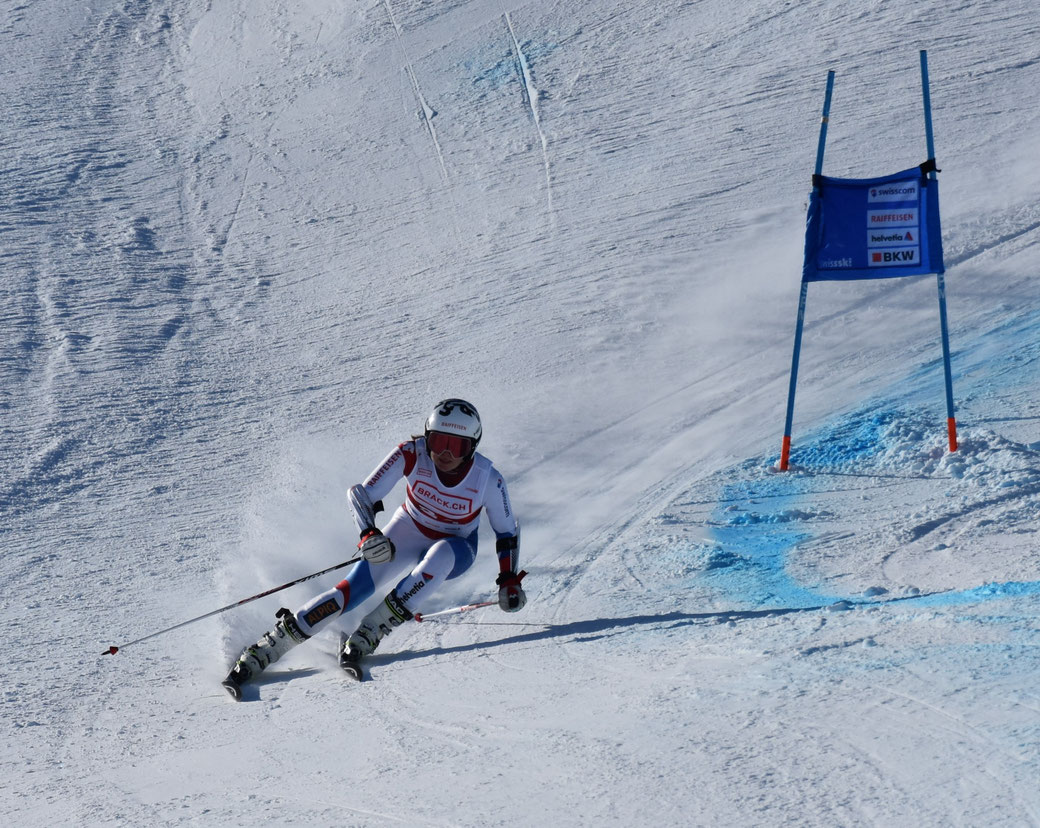 News - Website Sarah Zoller