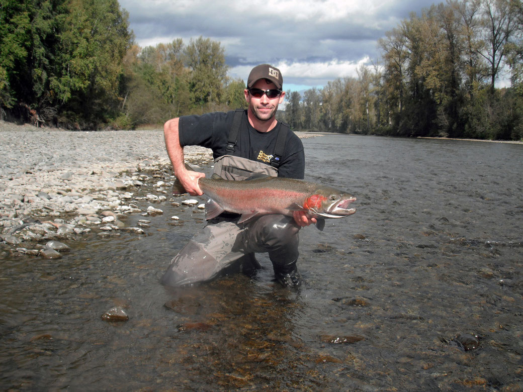 Bilder 2013 - kispiox-river-ranch