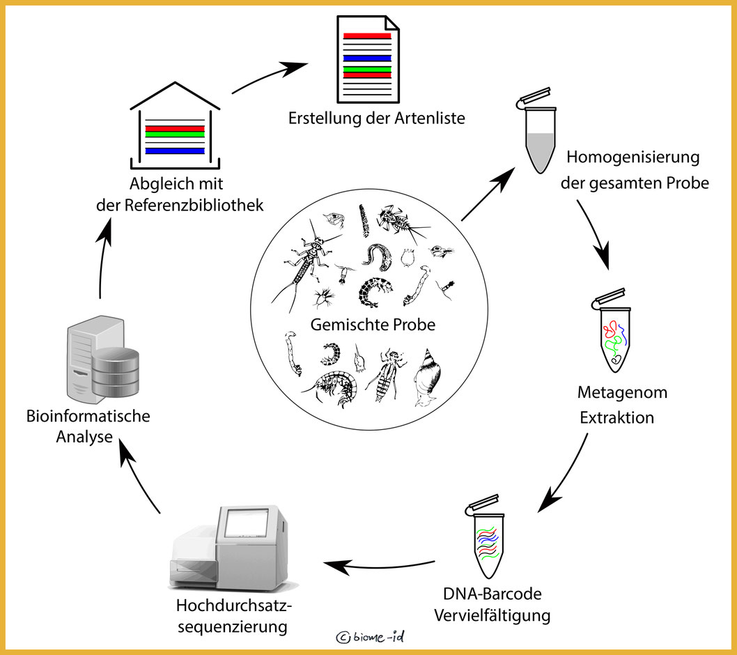 DNA-Metabarcoding - biome-id