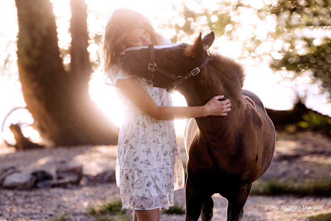 Pferd & Mensch - Pferdefotografie - Monika Bogner Photography ... Pferd & Mensch - Pferdefotografie - Monika Bogner Photography ...