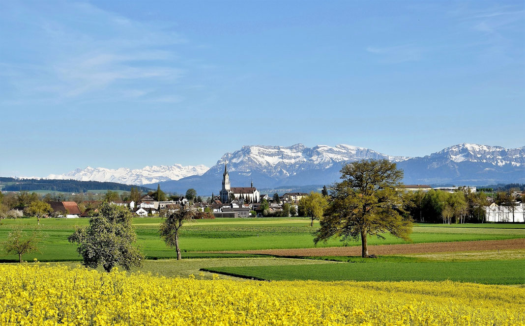 Grosswangen - Schweizerisches Blaskapellentreffen 2020