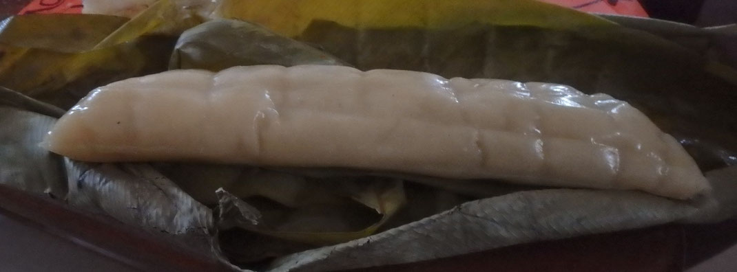 Neuigkeiten - Lydia Steininger in Pointe-Noire, Kongo