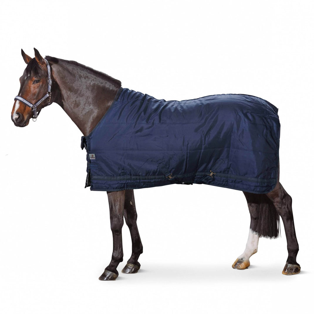 Co to jest derka dla konia? Rodzaje derek i materiały, z których są ...