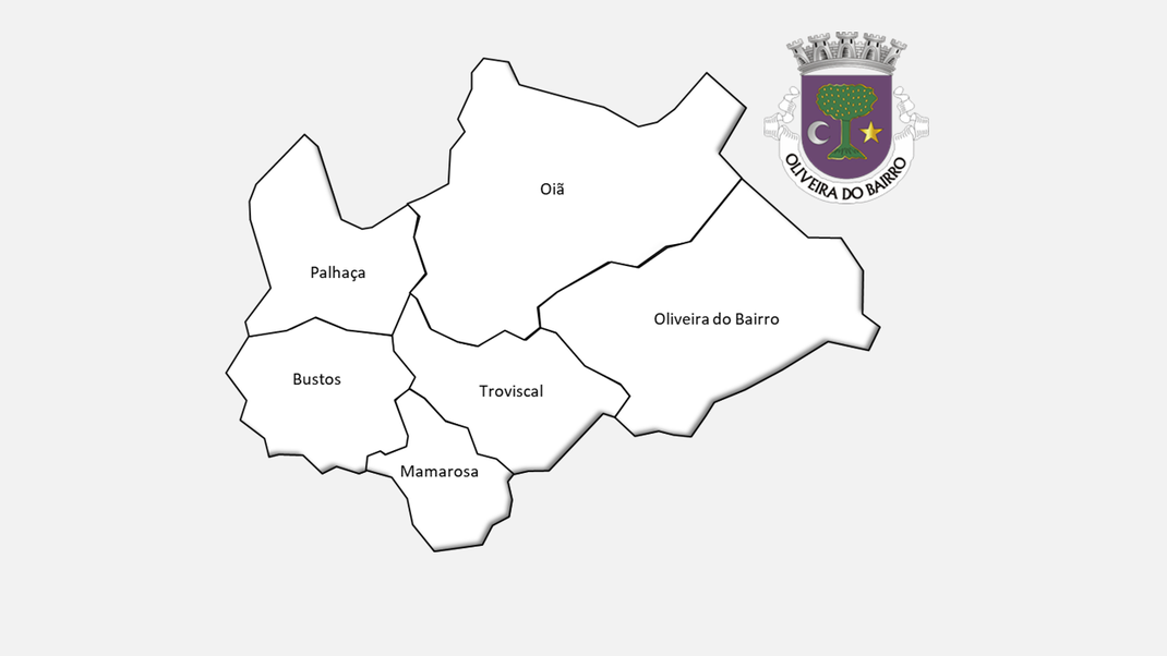 Oliveira do Bairro - Distrito de Aveiro