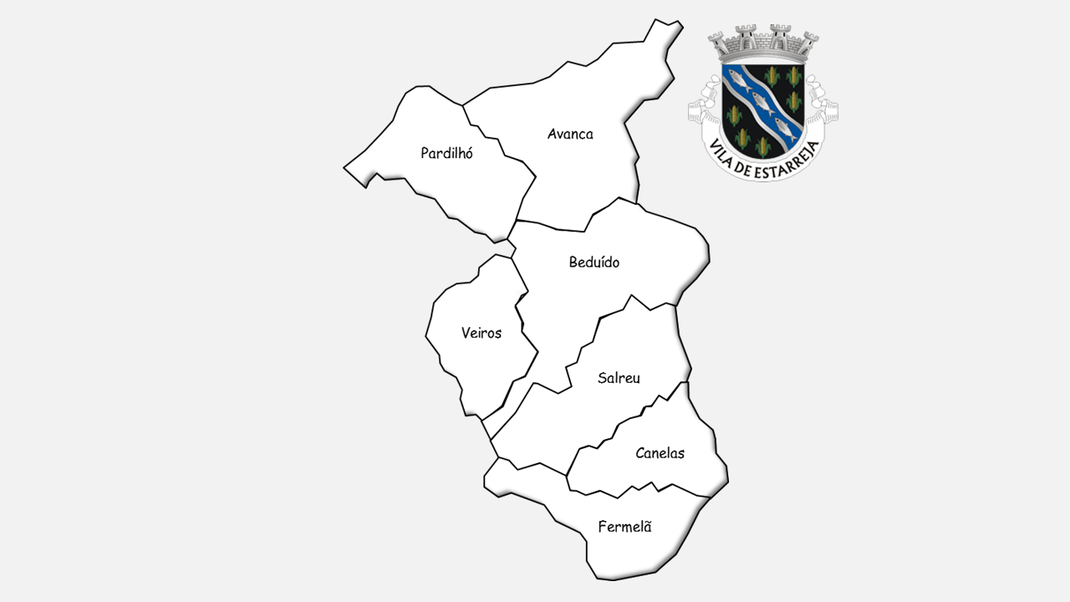 Estarreja - Distrito de Aveiro
