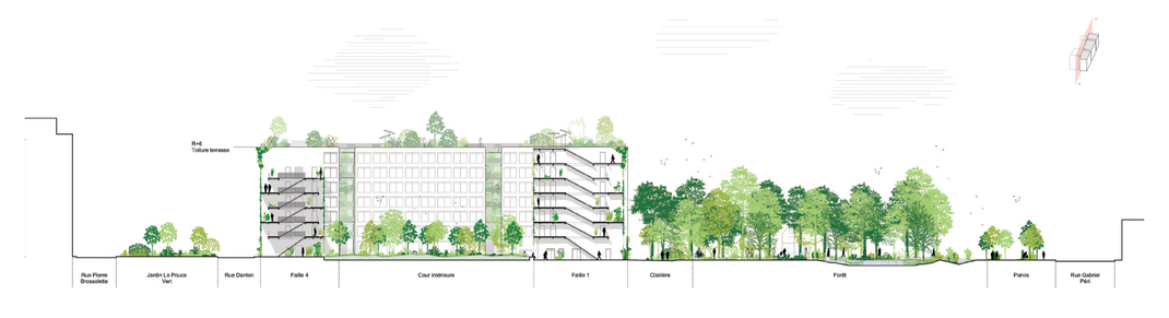 FORET DEMAIN - Site de michelskevinpaysage