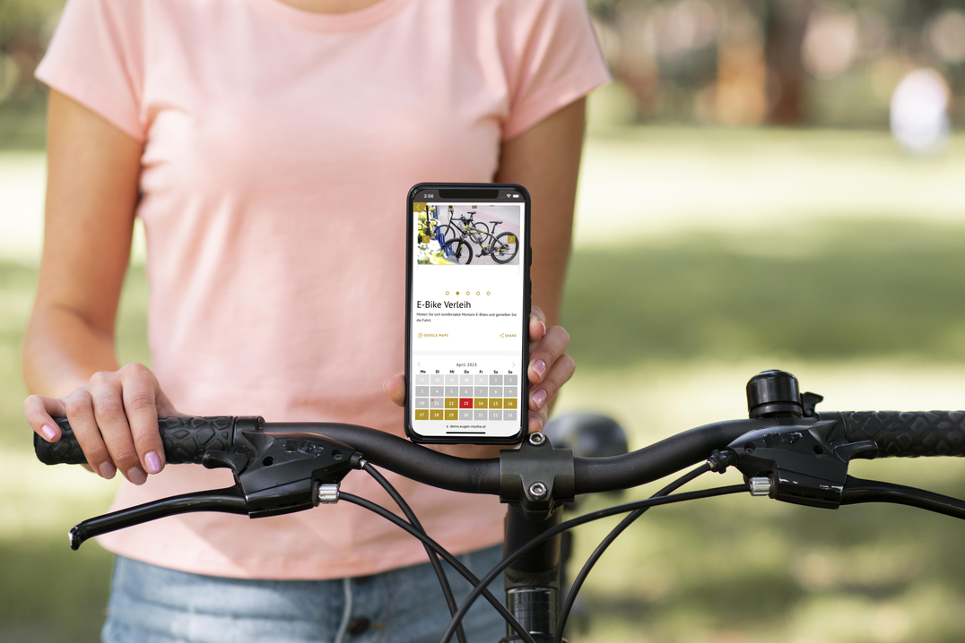 Rental and online booking system for e-bikes and fun mobility vehicles - LuxActive