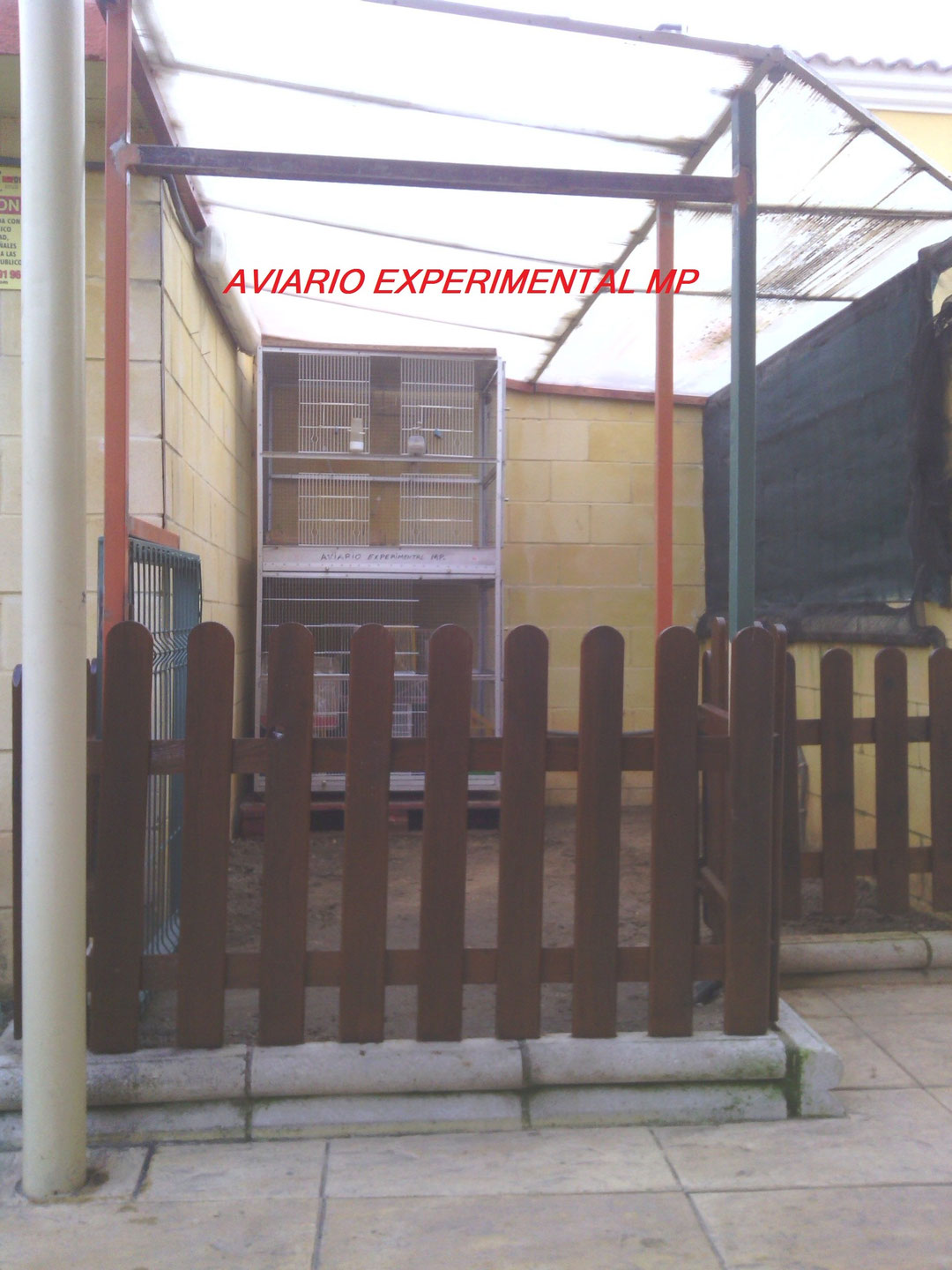 AVIARIO EN EXTERIOR - Página web de aviarioexperimentalmp