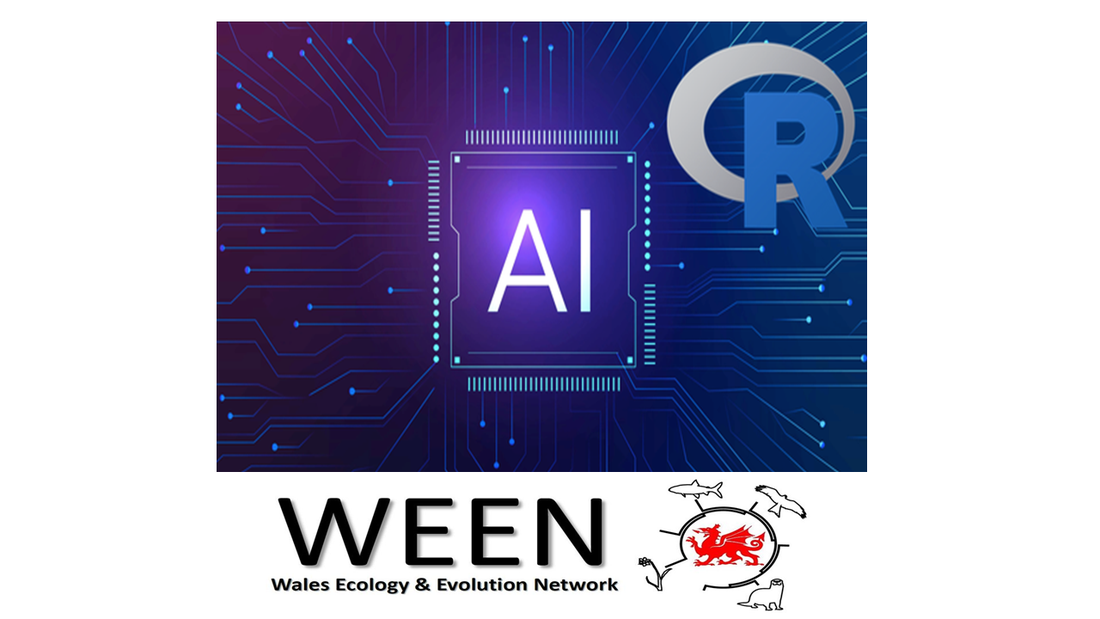 Integrating Large Language Model Tools into R Workflows - physalia-courses