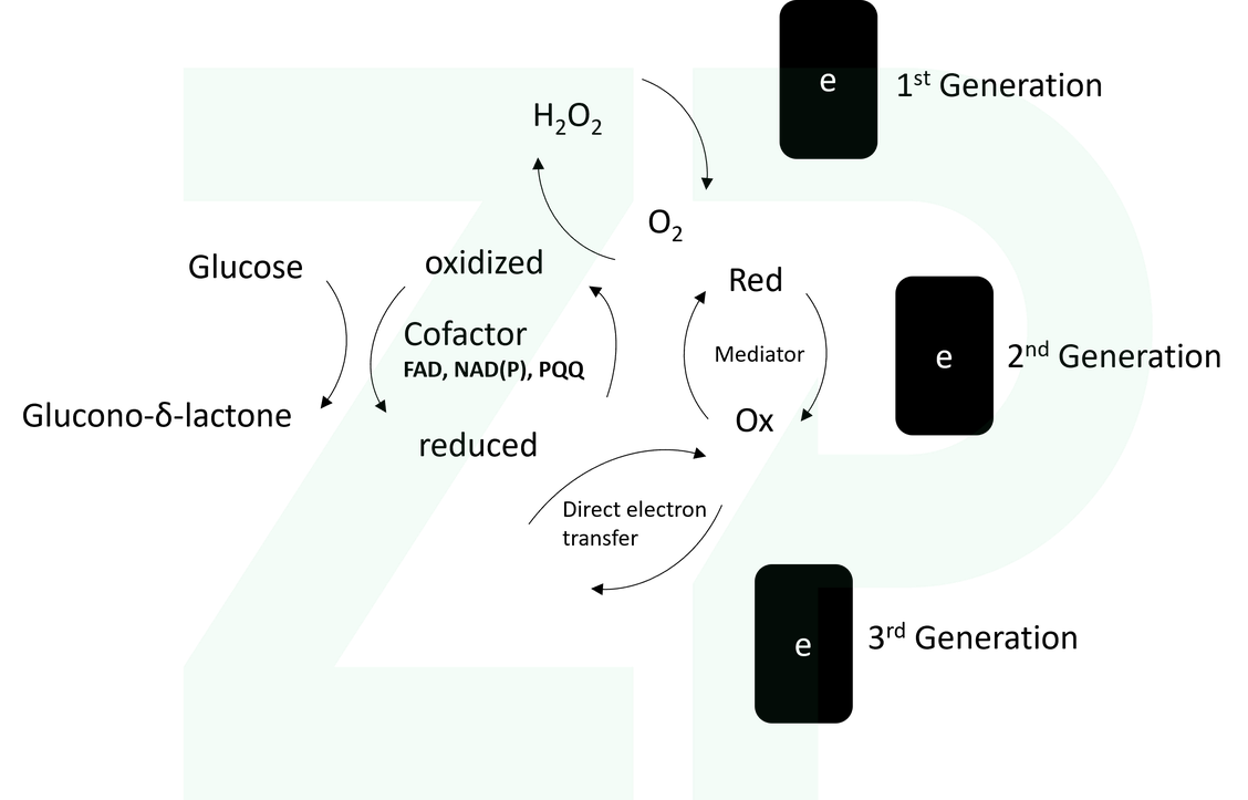 Generation One, Two and Three Glucose Sensors - zimmerandpeacock