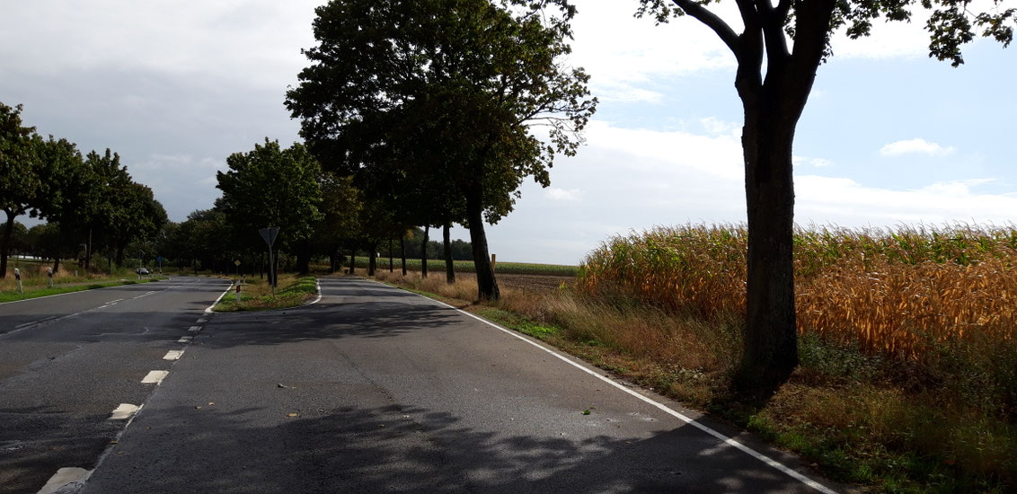 Zehn Jahre Fall Mirco - Teil 2 - Krimi Talk und lecker Essen