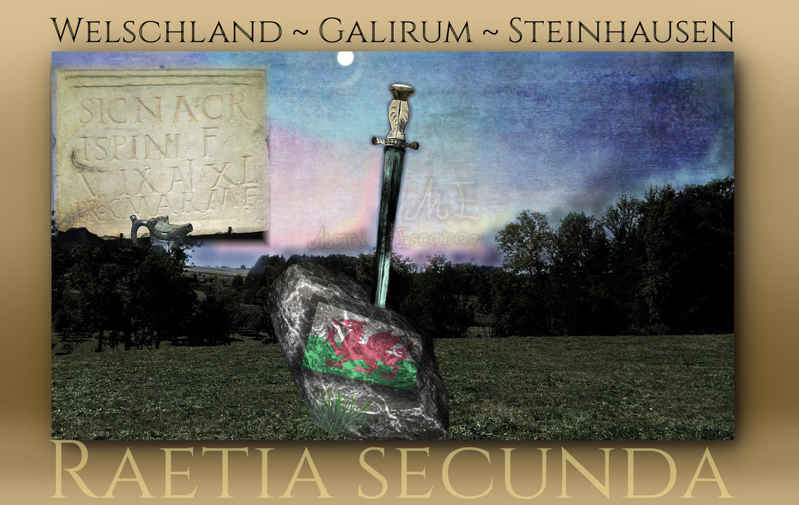 Photos ~ Rex Artorius - WildflowerMonaGraphics&Photography&Hidden ...