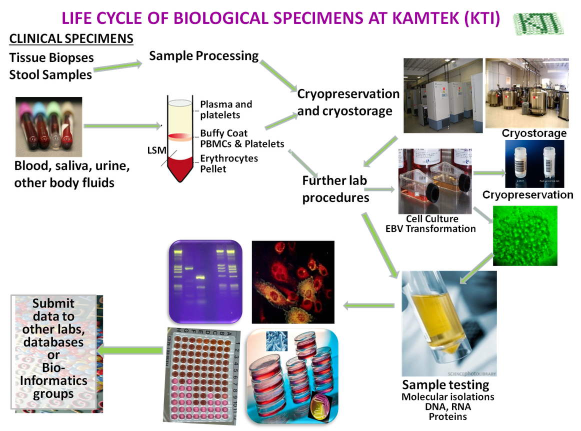 BioTech Services - KamTek, Inc.