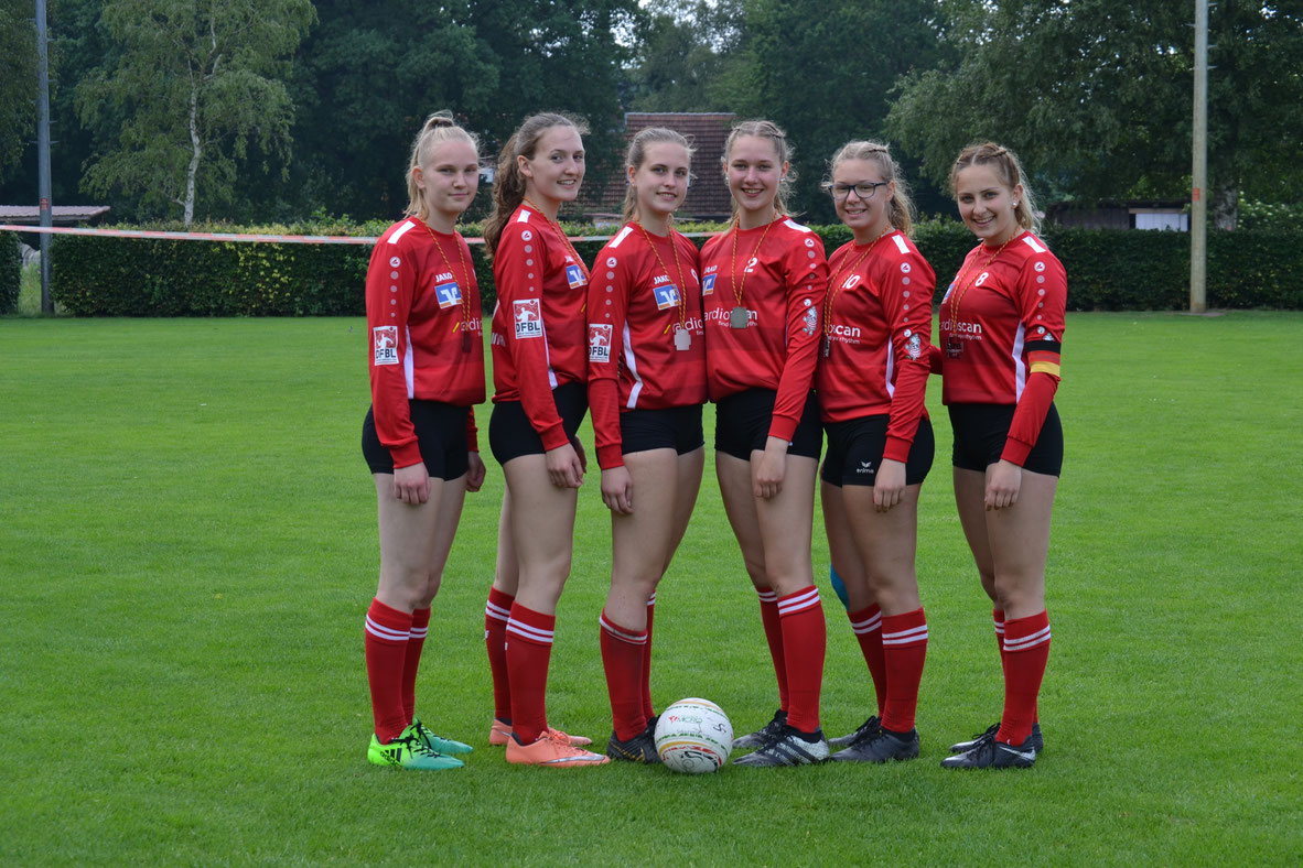 TV Jahn Schneverdingen - hallersteinsfinests Webseite!