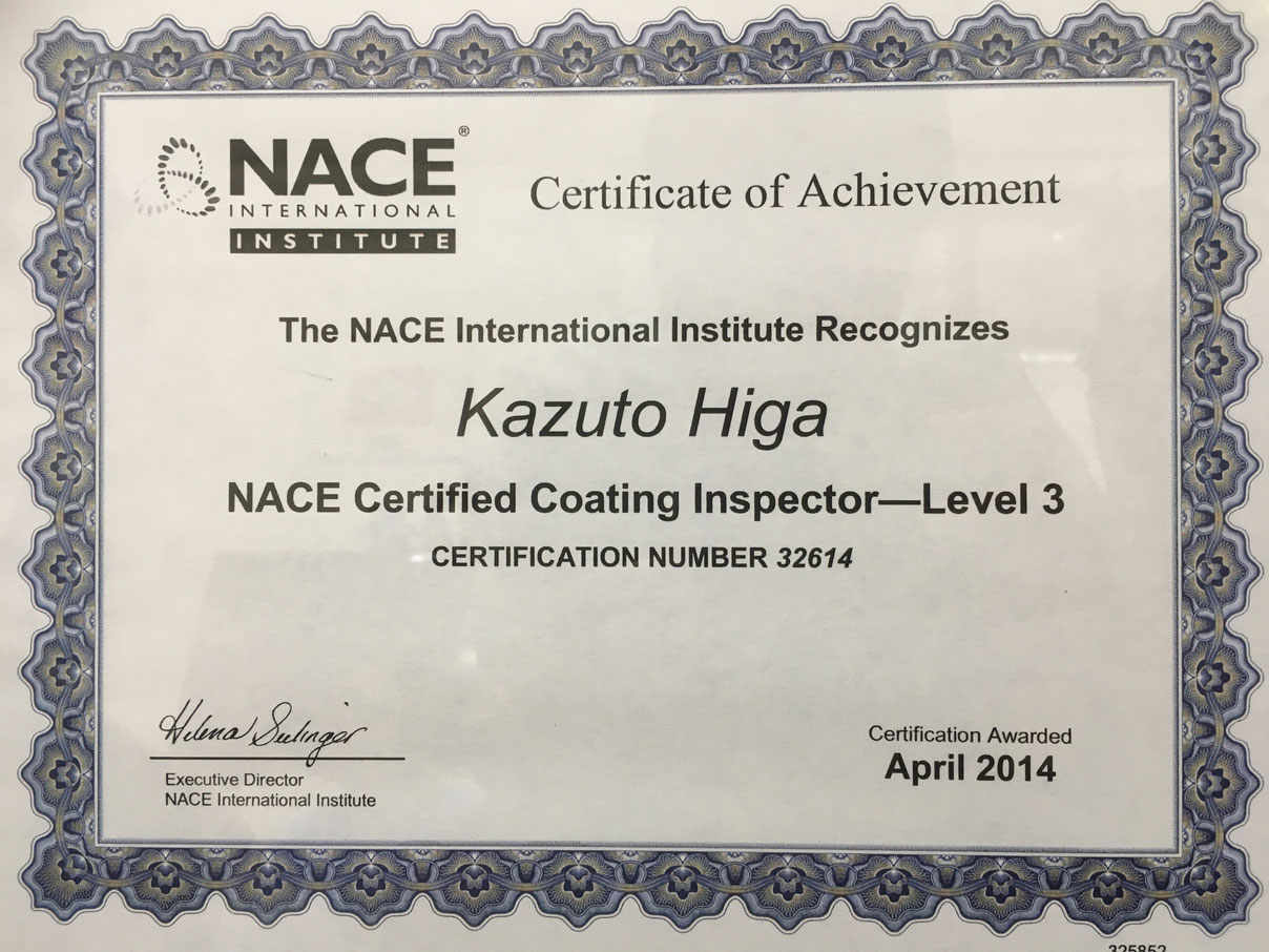 NACE LEVEL 3 INSPECTION - higapaint ページ！