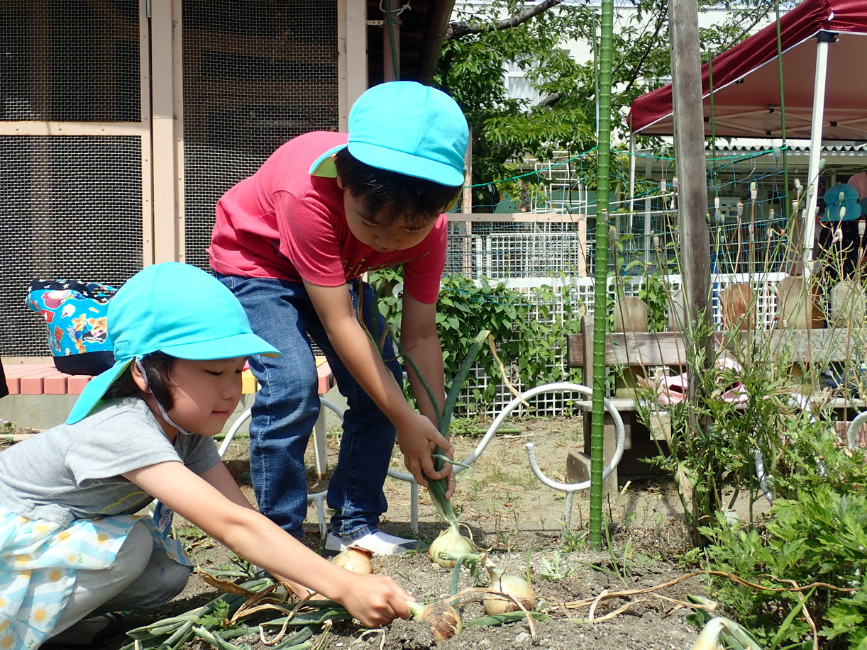 6月5日の様子 - fuzoku2020 ページ！