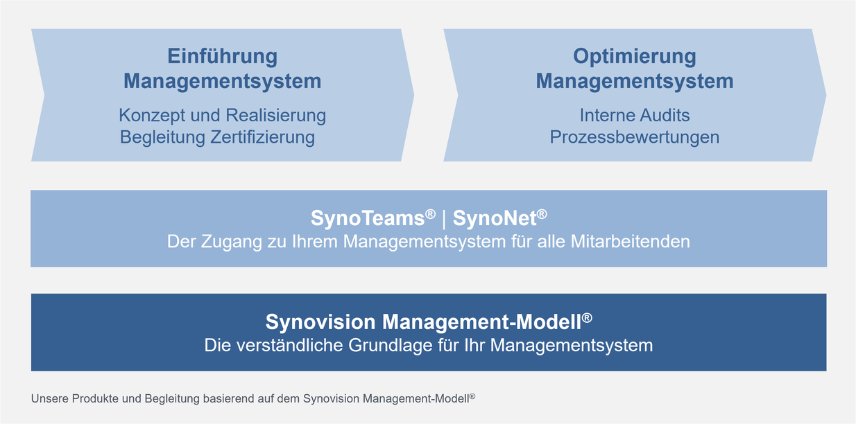 Dienstleistungen - Synovision AG