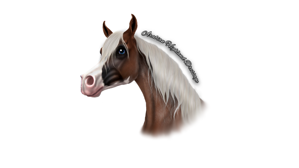 Über uns - arabian-highland-dressage